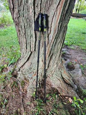 2pk Adjustable Trekking Poles Black - All In Motion™ : Target