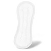 Cora Organic Cotton Bladder Liners - Extra Long - 30ct : Target