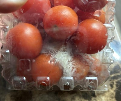 Premium Cherry Tomatoes - 10oz - Good & Gather™ (packaging May Vary ...
