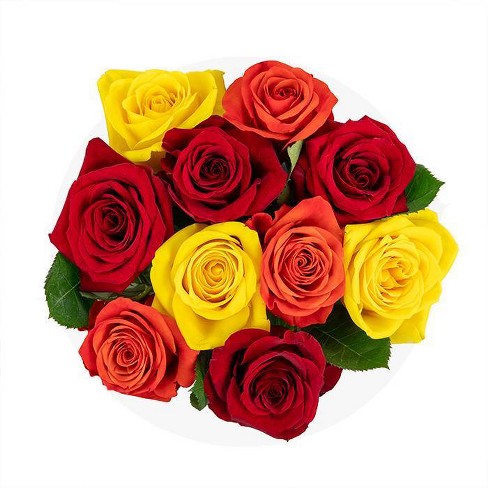 Colors Of Rose Flowers | Best Flower Site