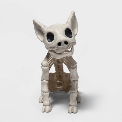 Pig Skeleton