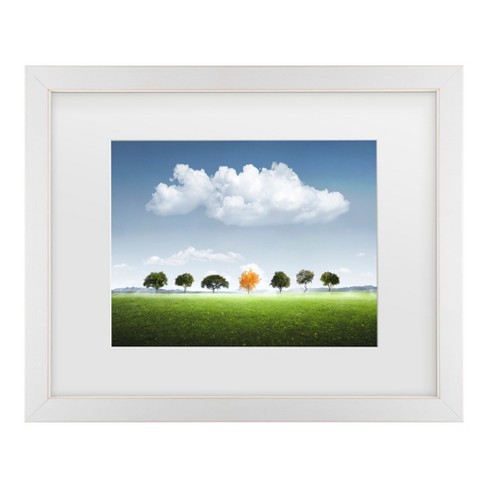 Bess Hamiti Seven Tree Matted Framed Art : Target