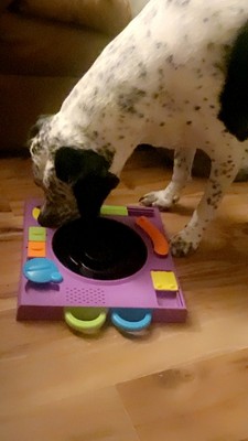 Brightkins Dj Doggo Puzzle Feeder Interactive Dog Treat Puzzles : Target