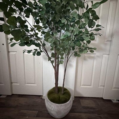 72" Artificial Ficus Tree - Threshold™ Designed With Studio Mcgee : Target