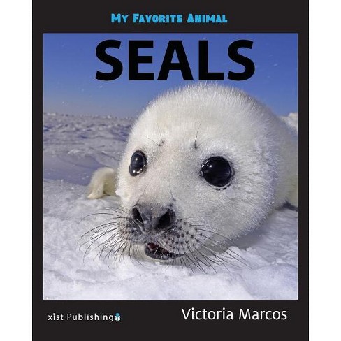 My Favorite Animal - By Victoria Marcos (paperback) : Target
