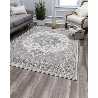 Rugs America Maxwell Ry40a Silver Chain Transitional Vintage Gray Area ...