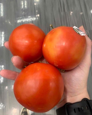 Organic On-the-vine Tomatoes - 1lb - Good & Gather™ : Target