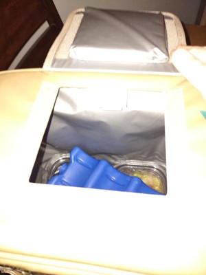 Soft Sided 23qt Cooler Tan - Embark™ : Target