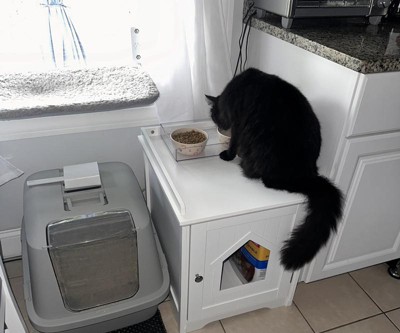 Enclosed Cat Litter Box - Xl - Up&up™ : Target