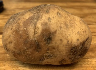 Organic Russet Potatoes - 3lb : Target