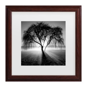 Moises Levy 'Lightning Tree I' Matted Framed Art : Target