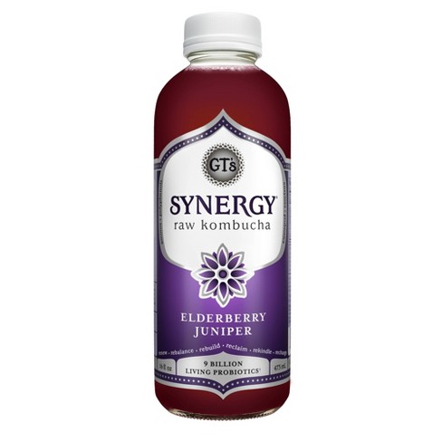 Gt's Synergy Elderberry Juniper Raw Kombucha - 16 Fl Oz : Target