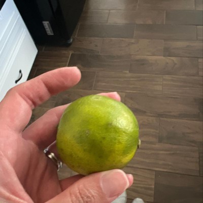 Lime - Each : Target