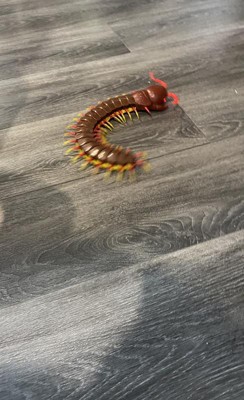 Terra By Battat Remote Control Centipede : Target