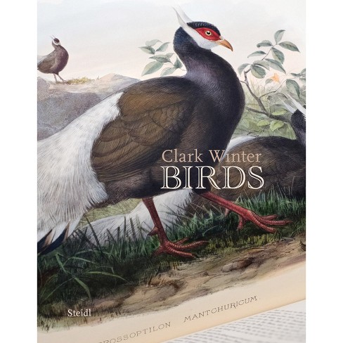 Clark Winter: Birds - (hardcover) : Target