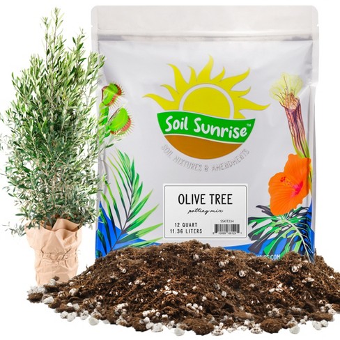 Soil Sunrise 12qt Olive Tree Potting Soil Mix, For Planting, Repotting ...