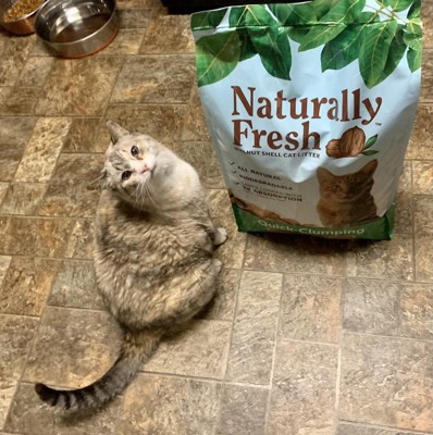 Naturally Fresh Quick Clumping Cat Litter - 26.25lbs : Target
