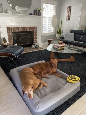 The Casper Dog Bed - Medium - Gray : Target