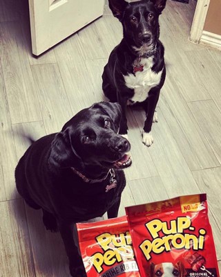 Pup-peroni Treats Peroni Beef Flavor Chewy Dog Treats - 22.5oz : Target