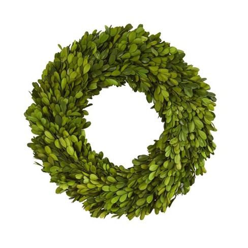 Nearly Natural 14” Preserved Boxwood Wreath : Target