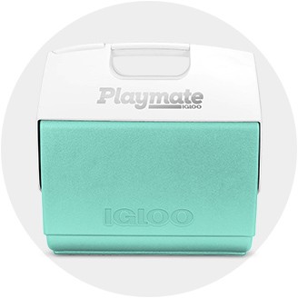 Coolers & Ice Chests : Target